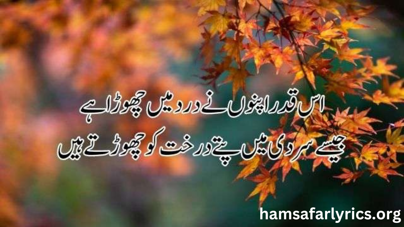 110+ Deep Poetry In Urdu – Ever Best Shayari Lines - Humsafar Lyrics