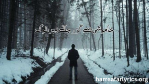 110+ Deep Poetry In Urdu – Ever Best Shayari Lines - Humsafar Lyrics